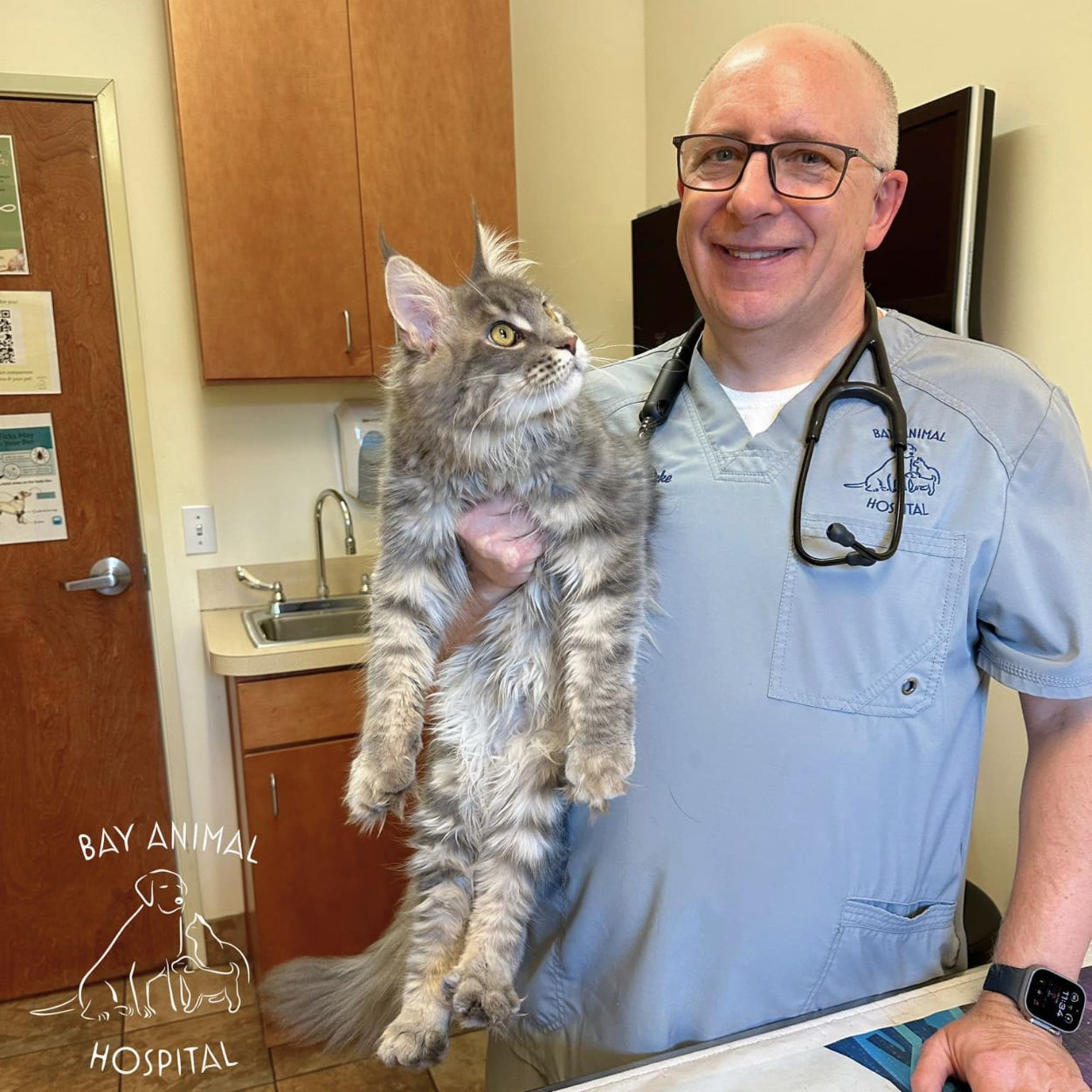 About Us | Bay Animal Hospital